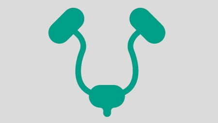 Skin Disorders: Prevention of Skin Breakdown | B. Braun Australia - B ...