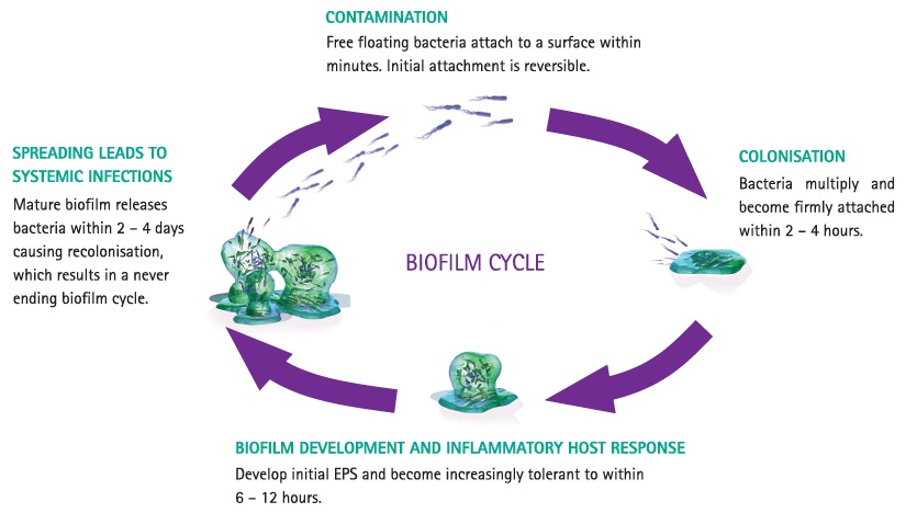 Biofilm Based Wound Care | B. Braun Australia - B. Braun