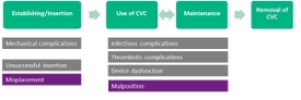 Misplacement and Malposition of Central Venous Catheters | B. Braun ...