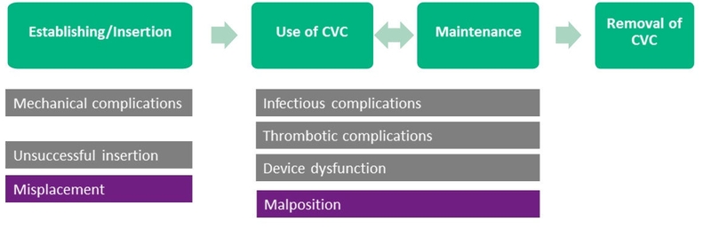 Misplacement and Malposition of Central Venous Catheters | B. Braun ...