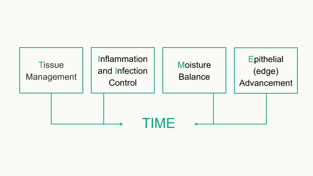 Chronic Wound Treatment with TIME concept | B. Braun Australia - B. Braun