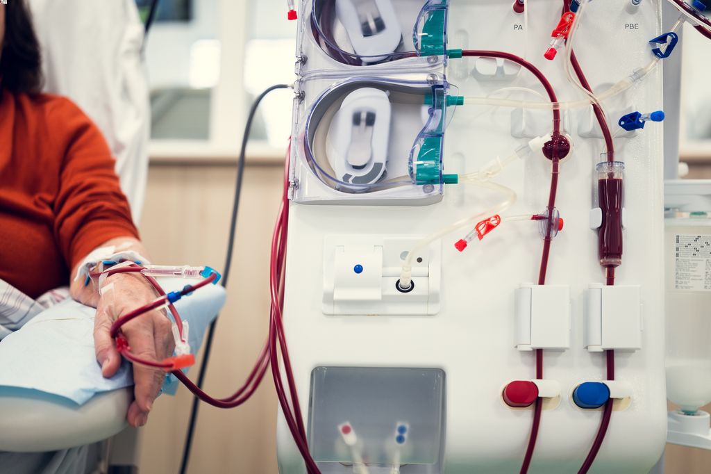 Sustainable Renal Care: How Dialysis is Going Green | B. Braun ...